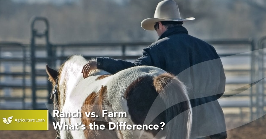 Difference Between Ranch and Farm - Agriculture Loan