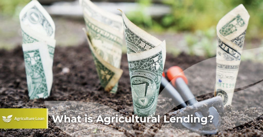 What is Agricultural Lending - Agriculture Loan